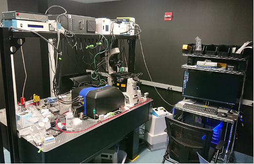 Making STRIDES: The NIH’s Official Cloud Platform | CIT Customer Portal